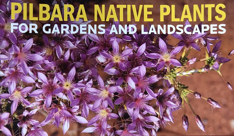 Pilbara native plants for gardens and landscapes - Greening Australia ...