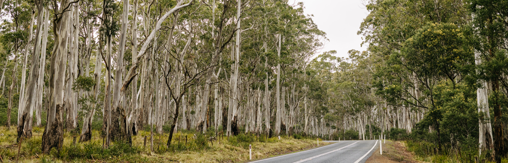 New TIA background - Greening Australia - Greening Australia