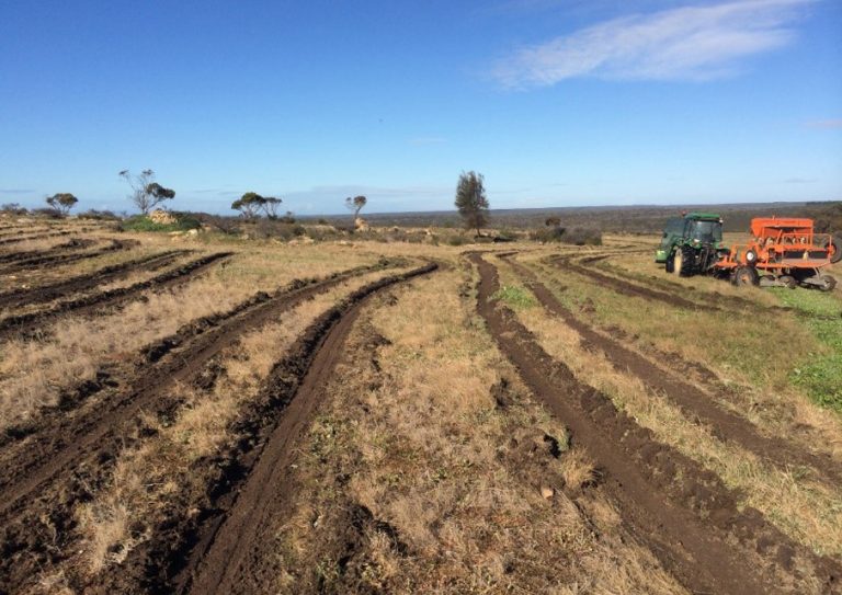 PROJECT-BANNER_20mt-gondwana-link-2 - Greening Australia - Greening ...