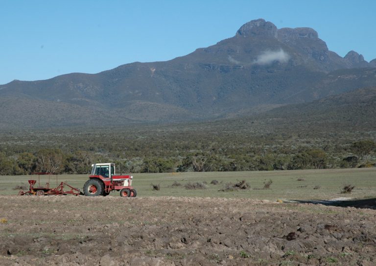 PROJECT-BANNER_Gondwana-Link-2 - Greening Australia - Greening Australia
