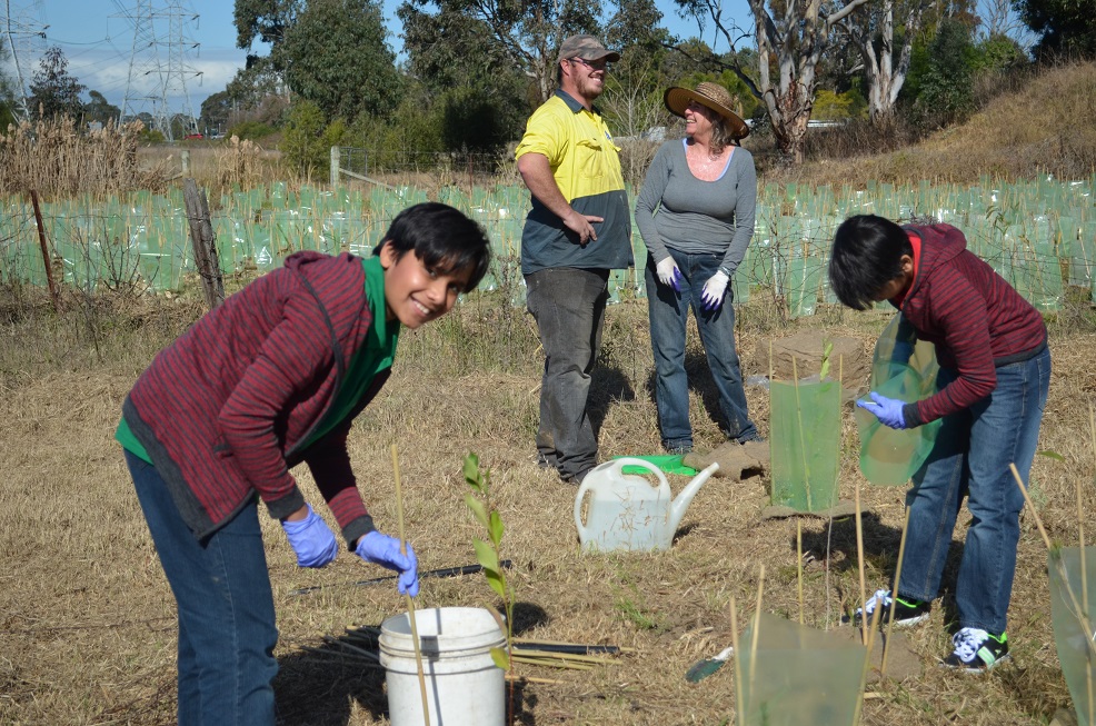 Bangladeshi community celebrate National Tree Day - Greening Australia ...
