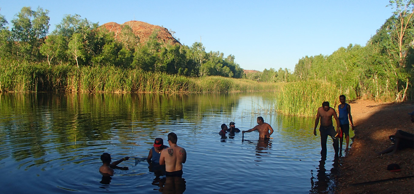 Banner-background-indigenous-training-programs - Greening Australia ...