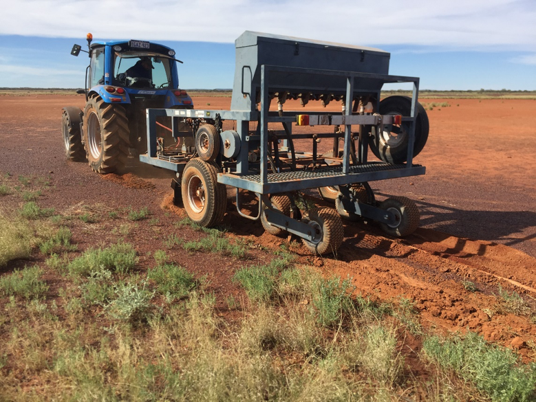 Habitat restored on degraded Pilbara clay pan - Greening Australia ...