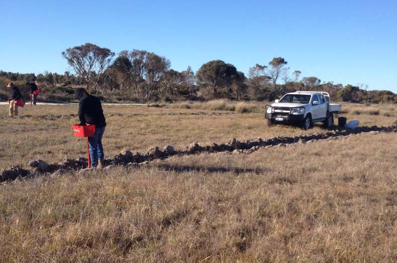 Hundreds of hectares of new habitat created in Gondwana Link - Greening ...