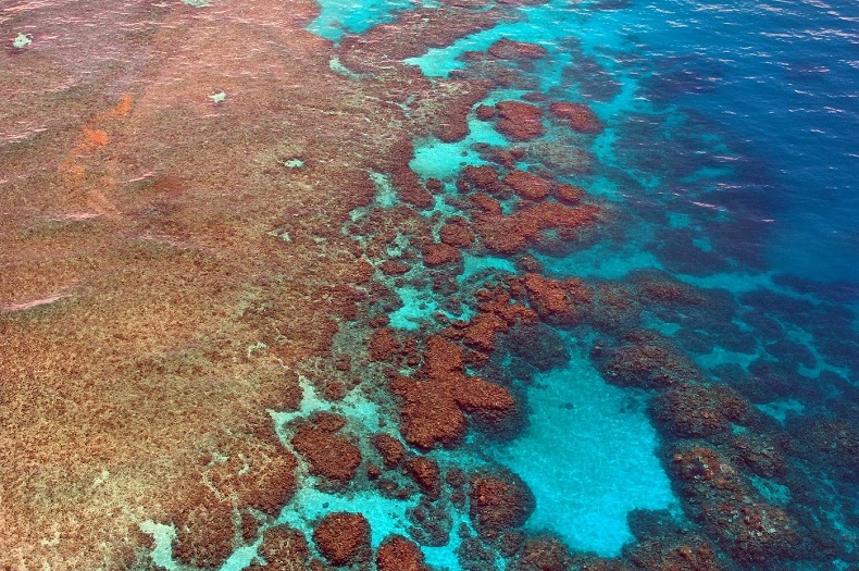 Tackling some of tropical Australia’s most challenging environmental ...