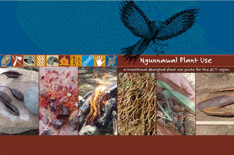 New book on traditional Aboriginal plant use - Greening Australia ...