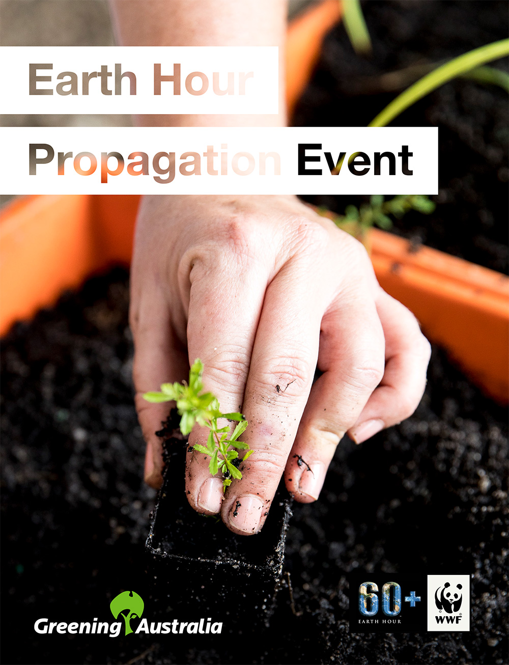 Earth-Hour-2018_ACT-propagation-event - Greening Australia - Greening ...