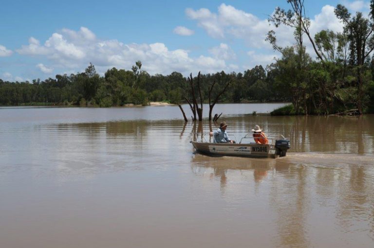 Nest protection breathing new life into Fitzroy River Turtle population ...
