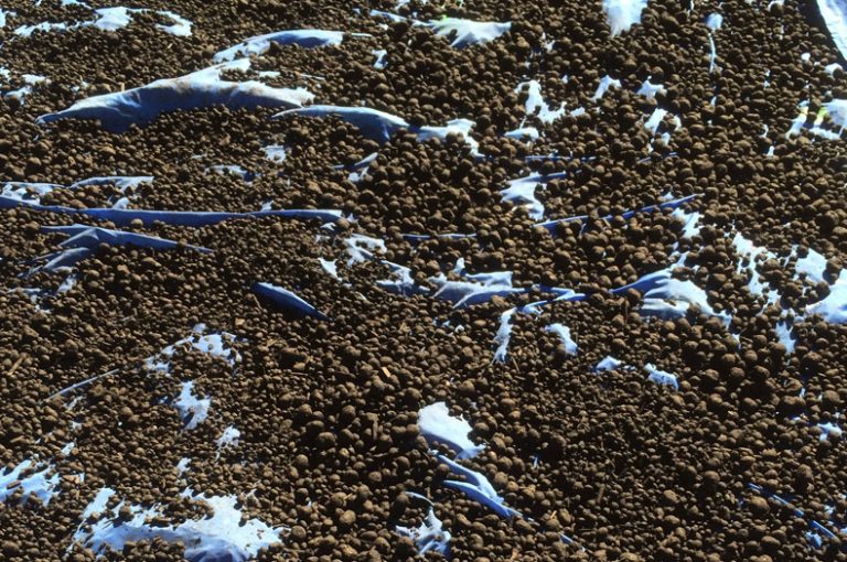 Reconnecting Budj Bim from the air - Greening Australia - Greening ...