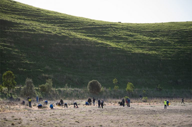 Planting of trees to benefit 31 farmers across Australia - Greening ...
