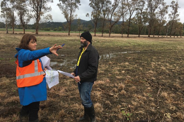 Building new homes for Victoria’s forest fairies - Greening Australia ...