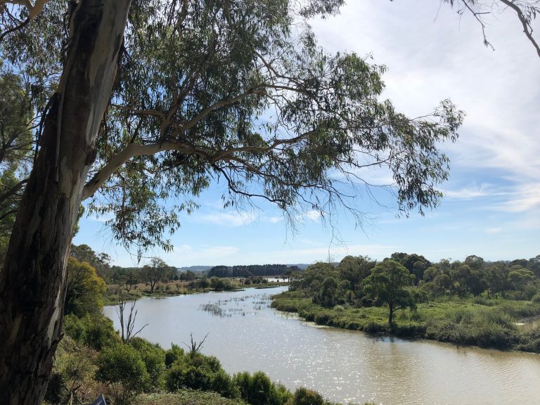Wingecarribee River - Greening Australia - Greening Australia
