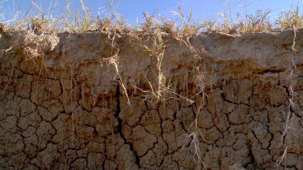 Soil_02 - Greening Australia - Greening Australia