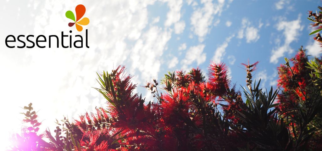 Essential flavours banner - Greening Australia - Greening Australia