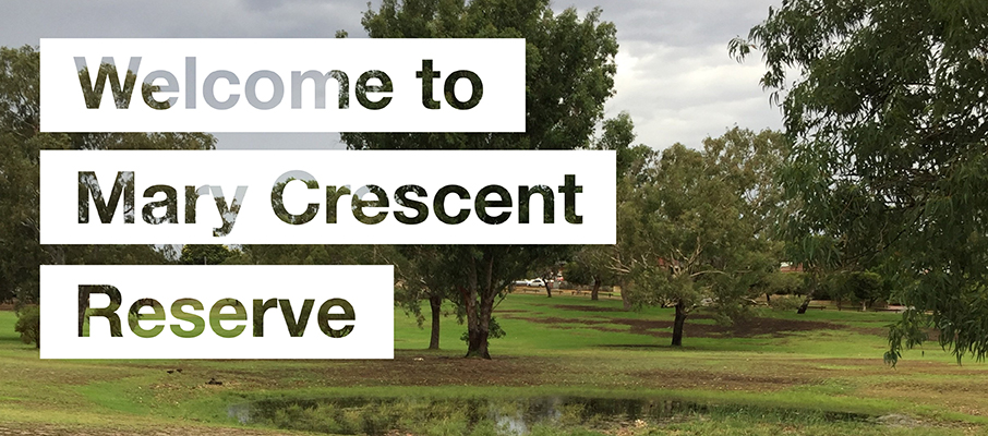 OP2 Text Over Image5 - Greening Australia - Greening Australia