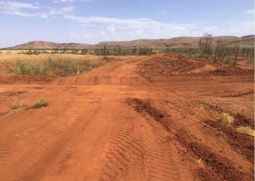 Rehydrating the Pilbara - Greening Australia - Greening Australia