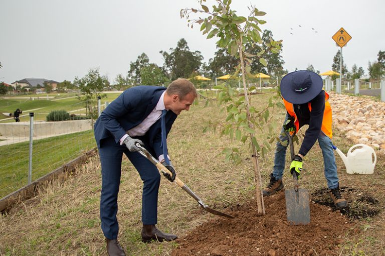 NSW Government invests $4.77m in trees for Sydney - Greening Australia ...