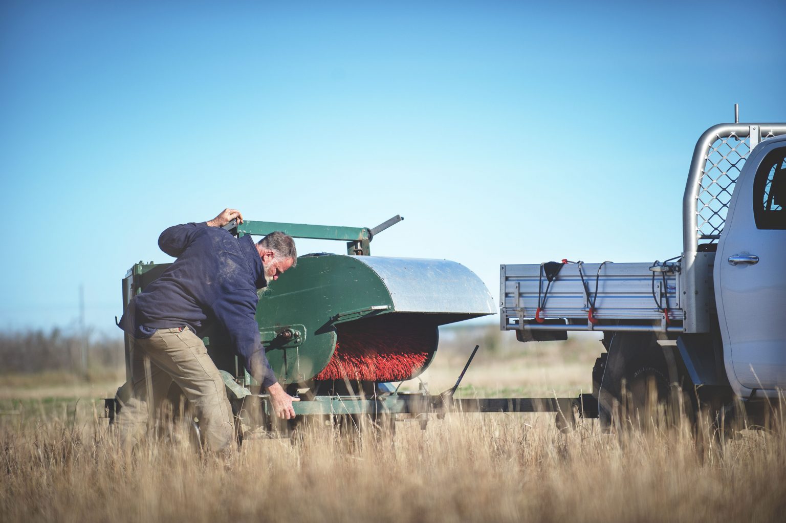 Uncovering the barriers to a sustainable seed sector - Greening ...