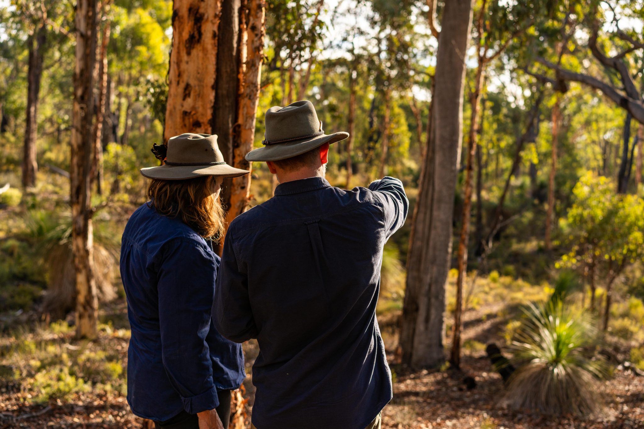 It’s time to start helping nature adapt for bushfire resilience ...