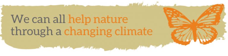 Help nature adapt - Greening Australia - Greening Australia