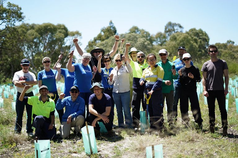 Alcoa - Greening Australia - Greening Australia