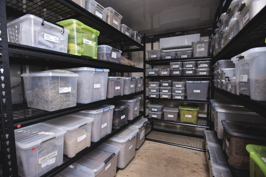 The future of native seed in Australia: a shared vision - Greening ...