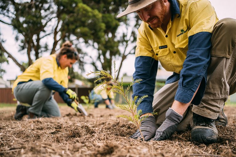 Darwin Agreement: Australasian environmental organisations urge support ...