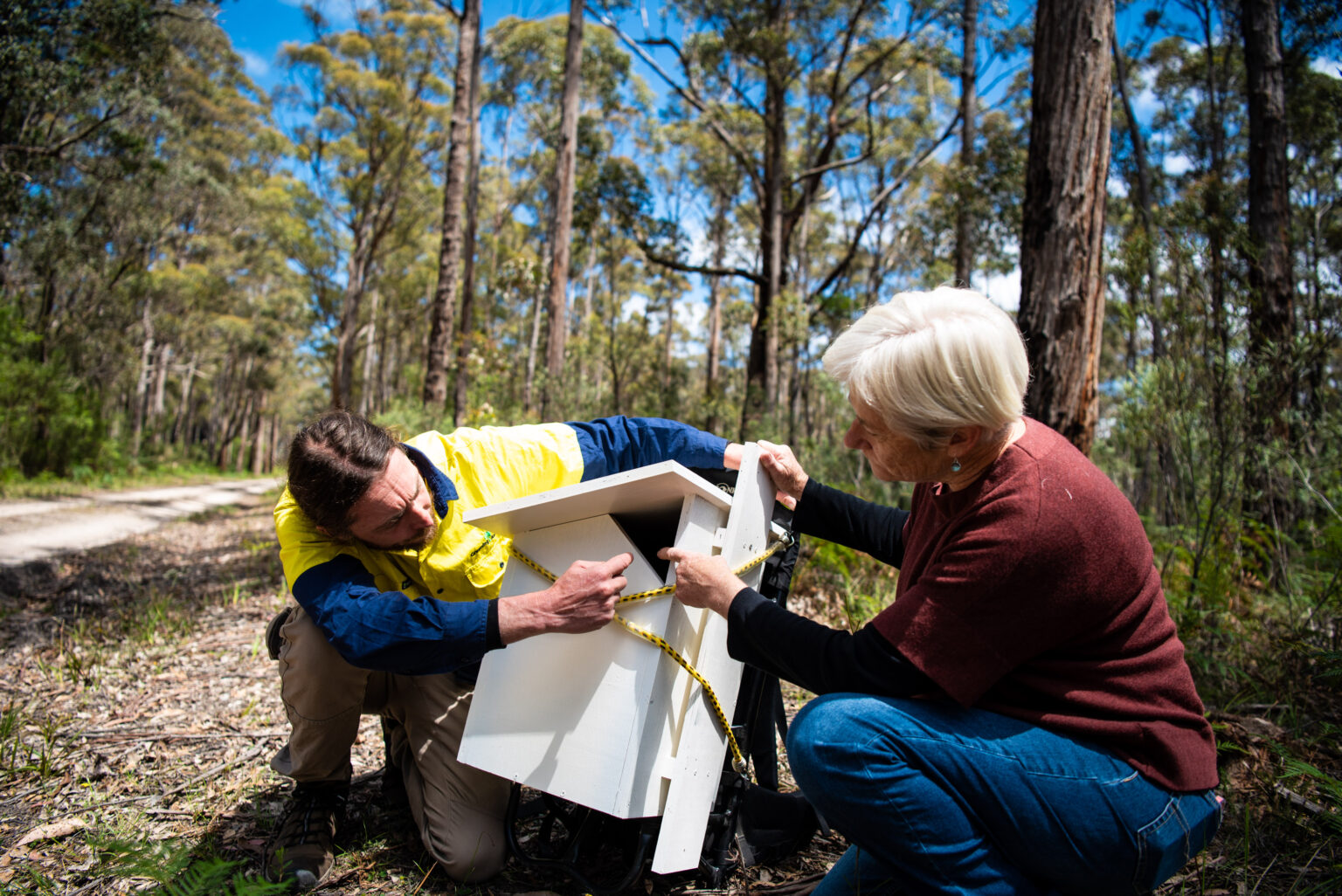 Gliding to Recovery: Greening Australia and Landcare work to save ...