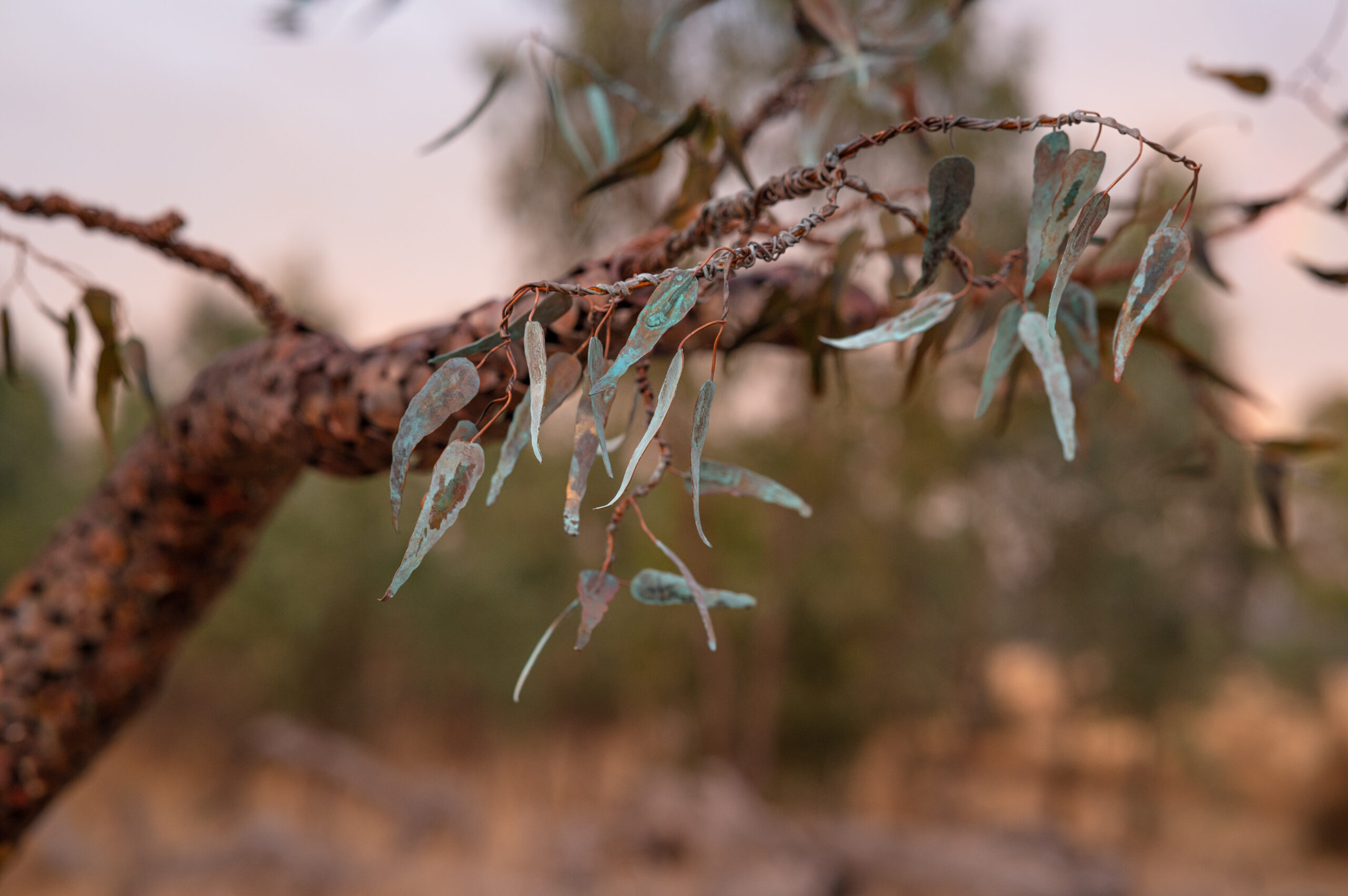 White Paper - Valuing Nature - Greening Australia - Greening Australia