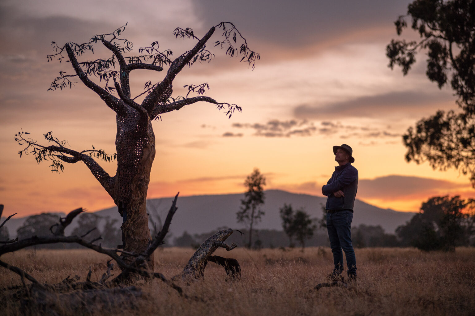 Money Tree art installation makes statement on the value of nature ...