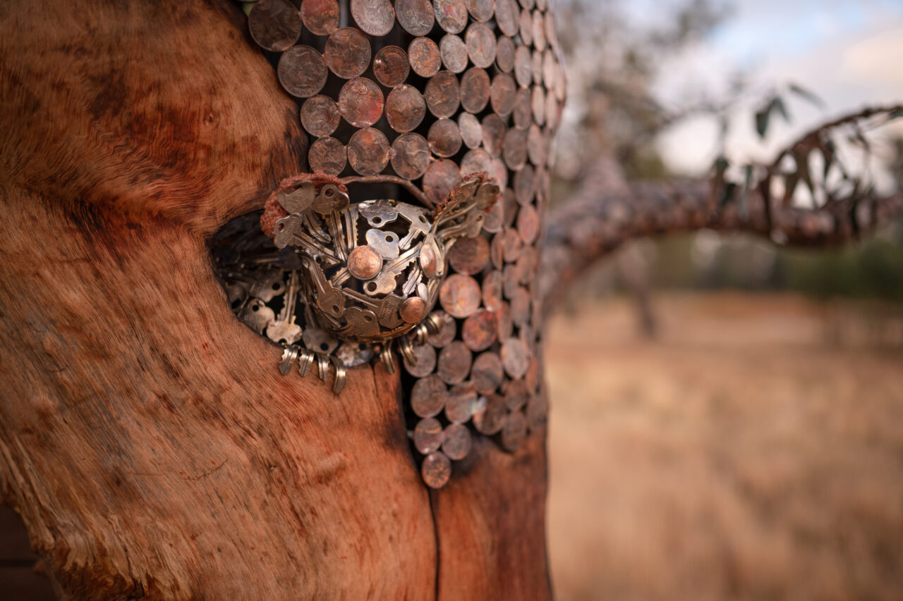 Money Tree art installation makes statement on the value of nature ...
