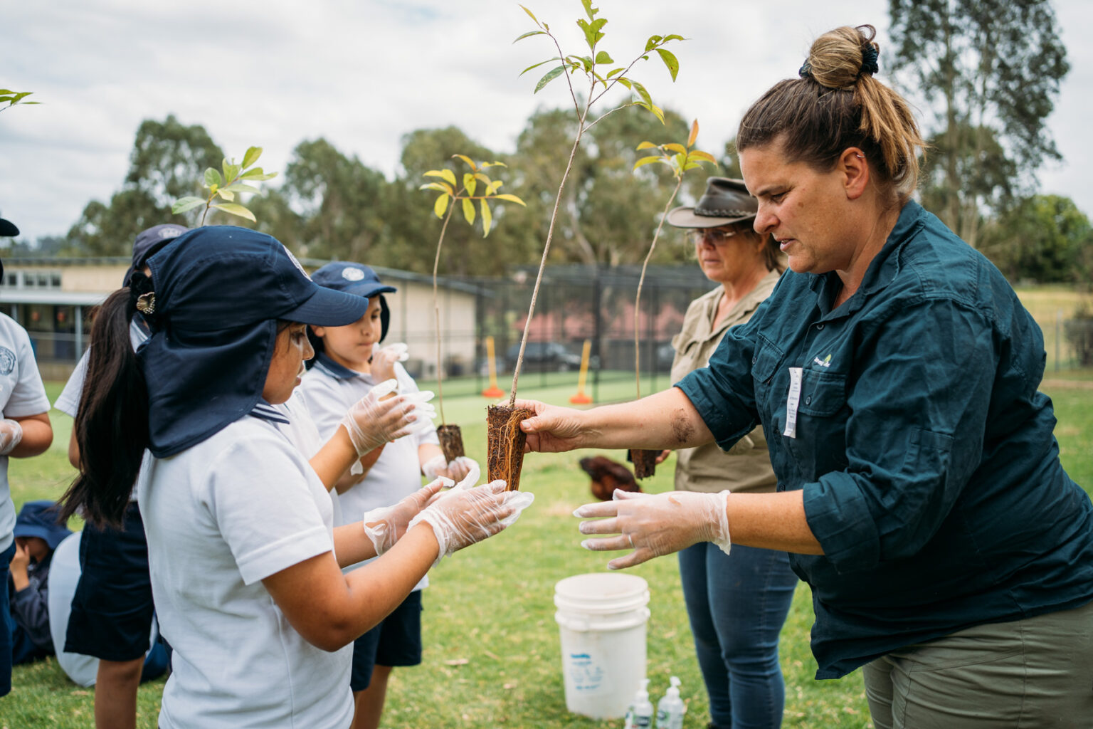 Tree-mendous upgrade for 50 Sydney schools - Greening Australia ...