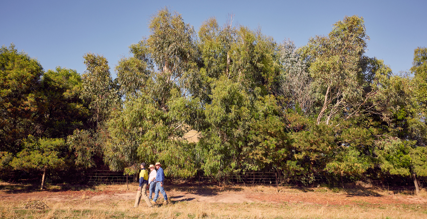 Talk to us about improving the health of your land - Greening Australia ...