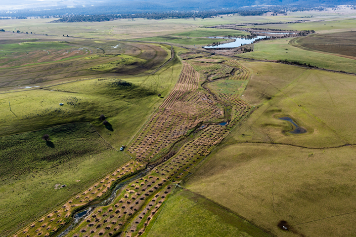 RAI 2 - Greening Australia - Greening Australia