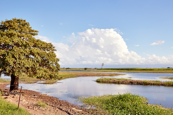 Mungalla Station Wetlands Blue Carbon 2 - Greening Australia - Greening ...