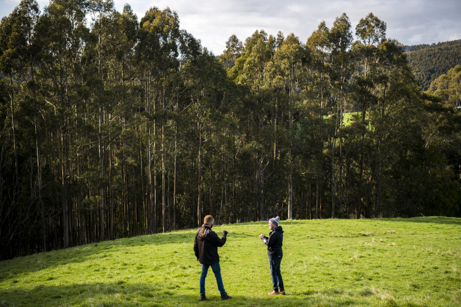 Nestlé is planting 10 million trees in Australia by 2025 - Greening ...