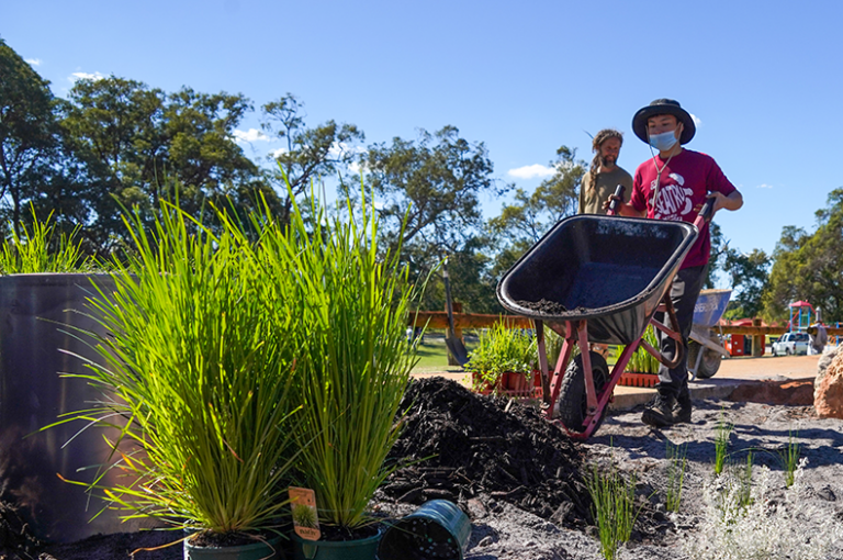 Bayswater Waterwise Verge Garden - Jesse Collins 790x525 - Greening ...
