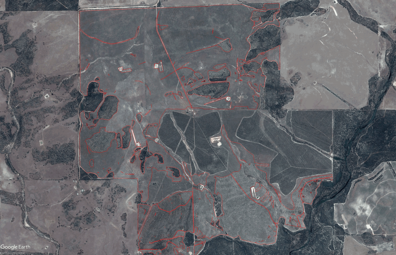 Reforestation GIF - Greening Australia - Greening Australia