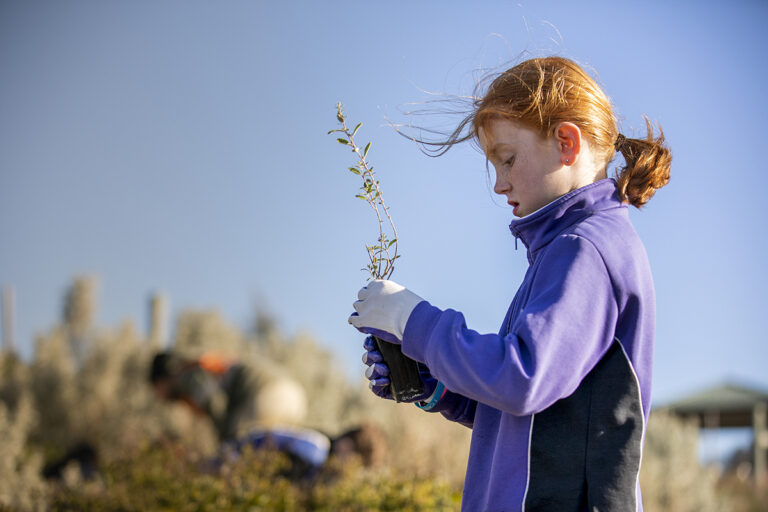 Leading environmental organisations call for national roadmap to ...
