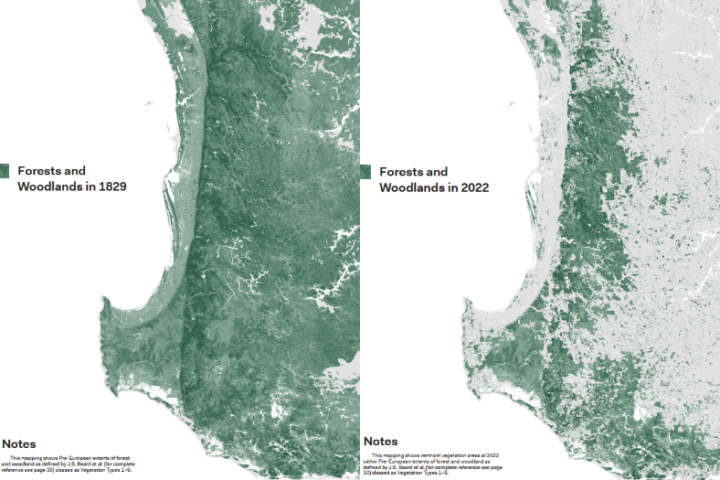 SW WA Forest Cover Change - Greening Australia - Greening Australia
