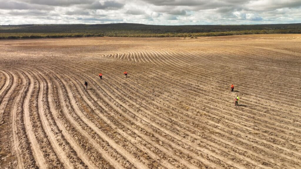 Bush Heritage Australia and Greening Australia unite to champion world ...