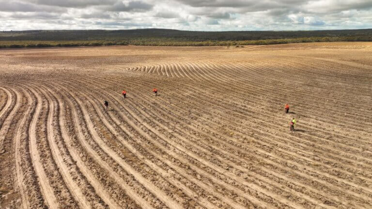 Bush Heritage Australia and Greening Australia unite to champion world ...