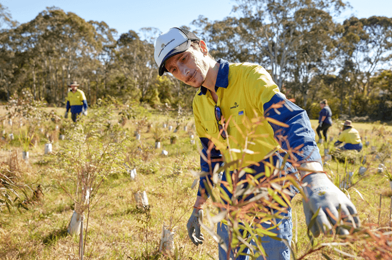 Accounting for Nature and measuring nature repair - Greening Australia