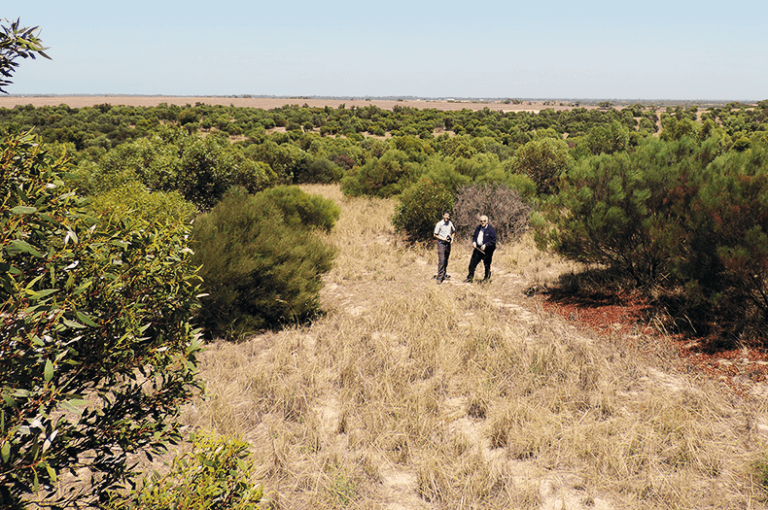 Accounting for Nature and measuring nature repair - Greening Australia