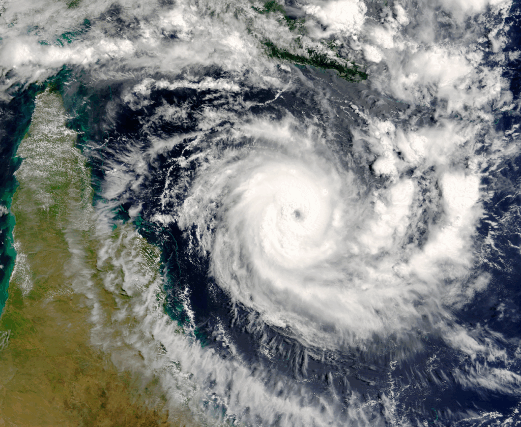 Planting for Resilience: Which Trees Survive Cyclones? - Greening ...