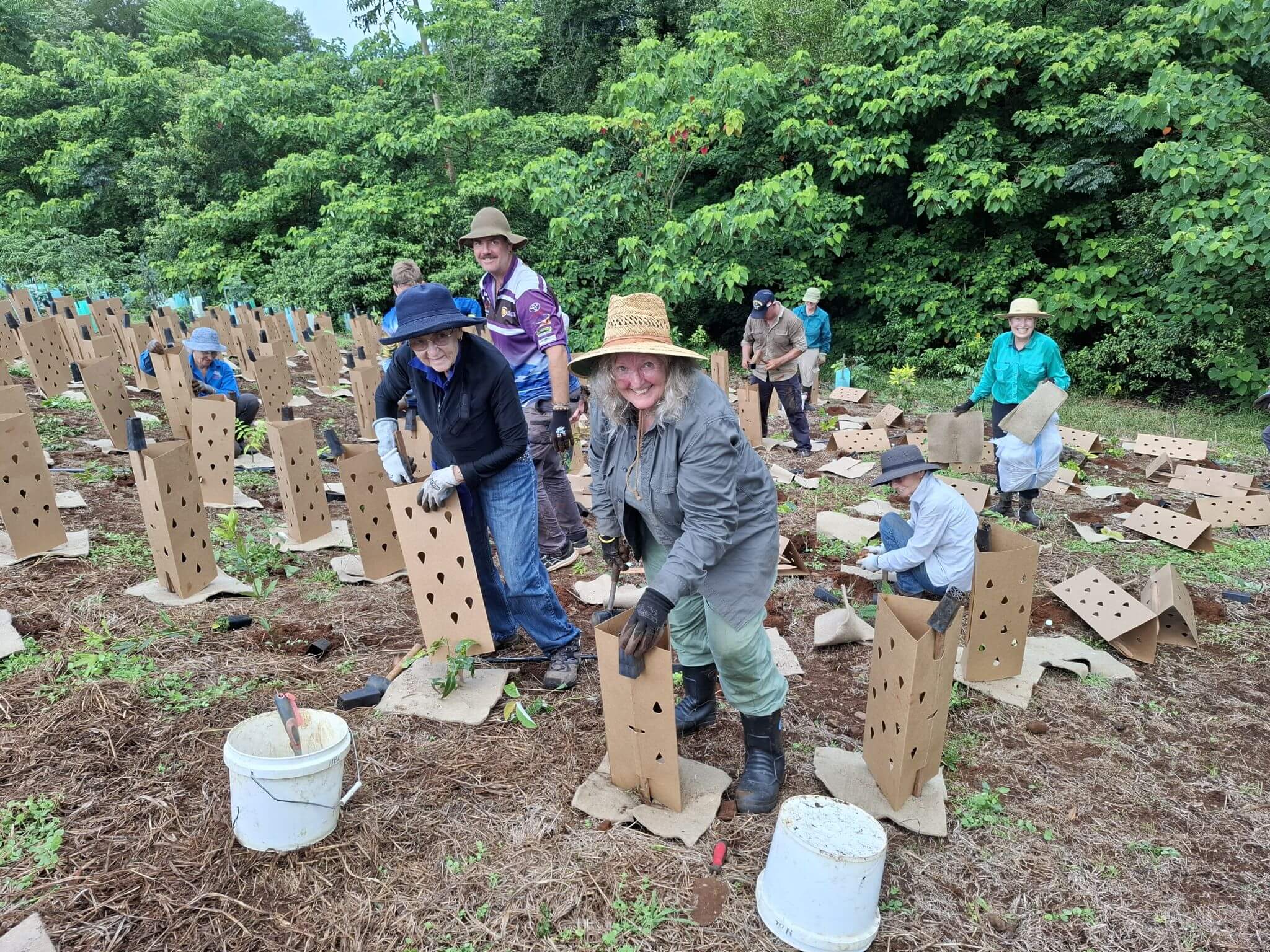 Community Planting Day - Greening Australia - Greening Australia