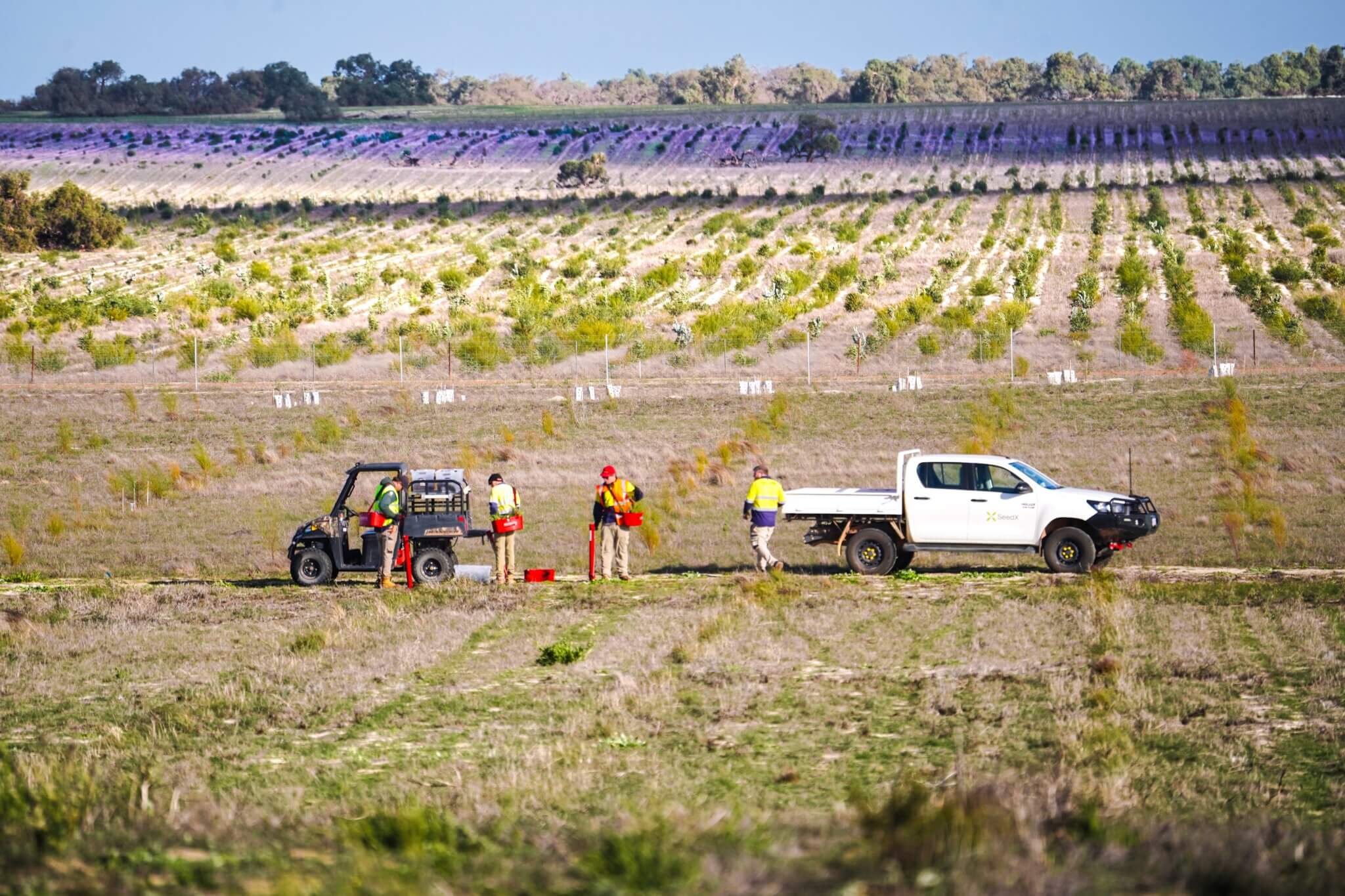 Growing Resilience: A Native Seed Field Day - Greening Australia ...