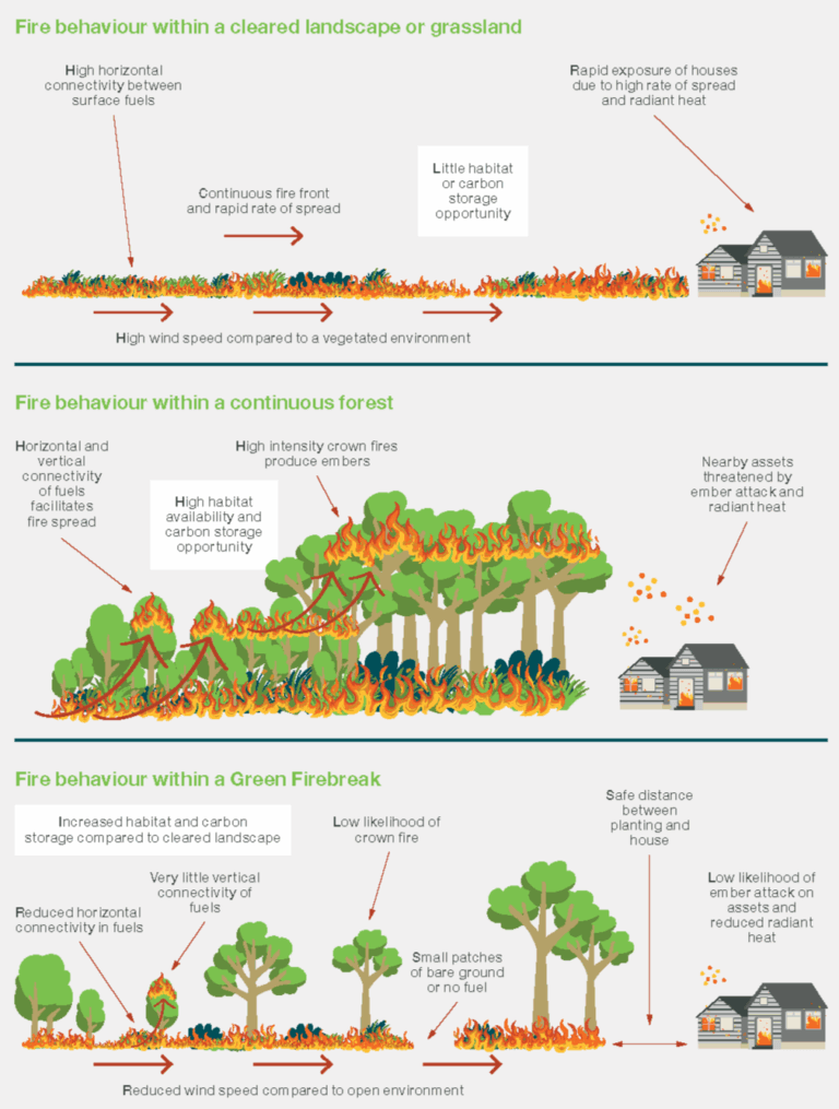 Fire-Aware Revegetation: How Green Firebreaks Can Build Landscape ...